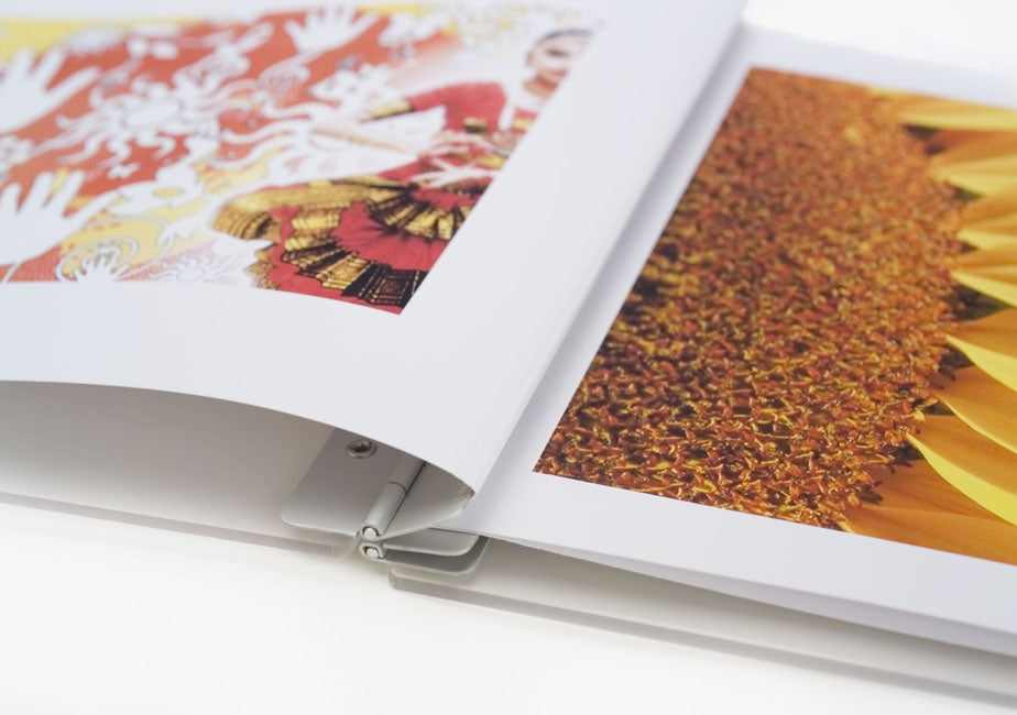 Vista Acrylic Screwpost Portfolio Book - Mist + 20 Archival Sheet Prot ...